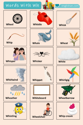 Words with Wh with Their Pictures • Englishan