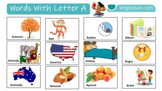 Words with the Letter A with Pictures • Englishan