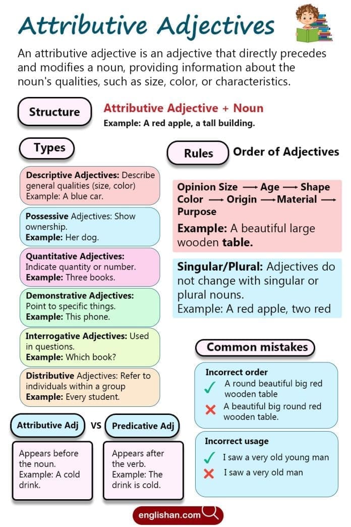 Attributive Adjectives in English With Examples