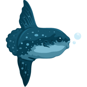 100 Sea Animals Name in English with Pictures • Englishan