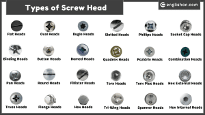 30 Types of Screw Heads Names