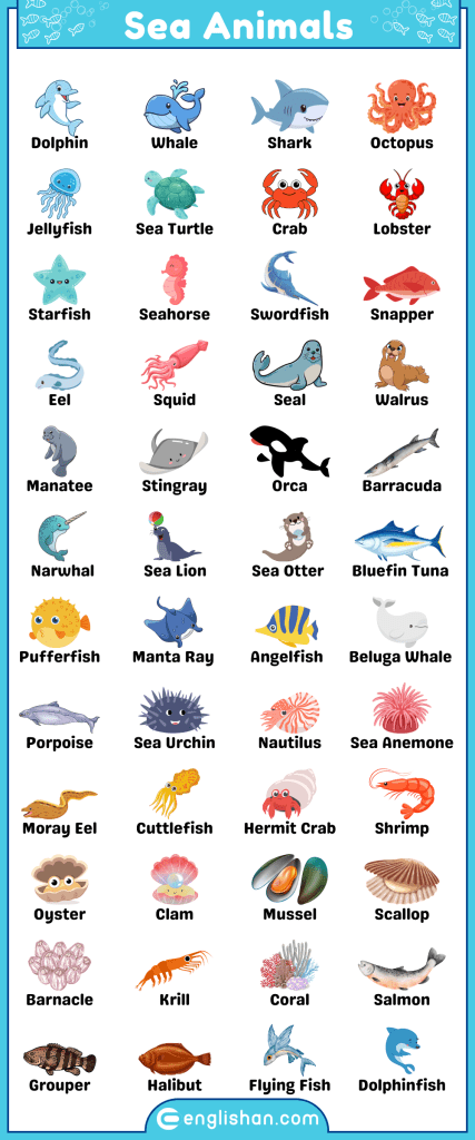 100 Sea Animals Name in English with Pictures • Englishan