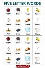 Five Letter Words: Ultimate List of 4000+ Words • Englishan