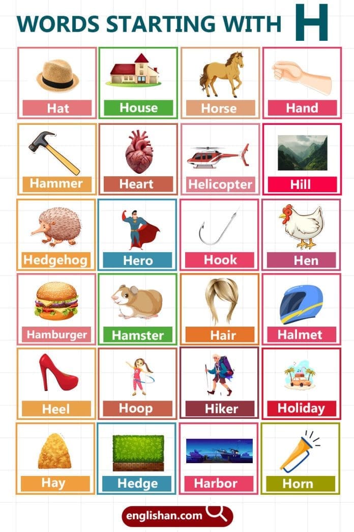 Words That Start with H – 600+ H Words List in English
