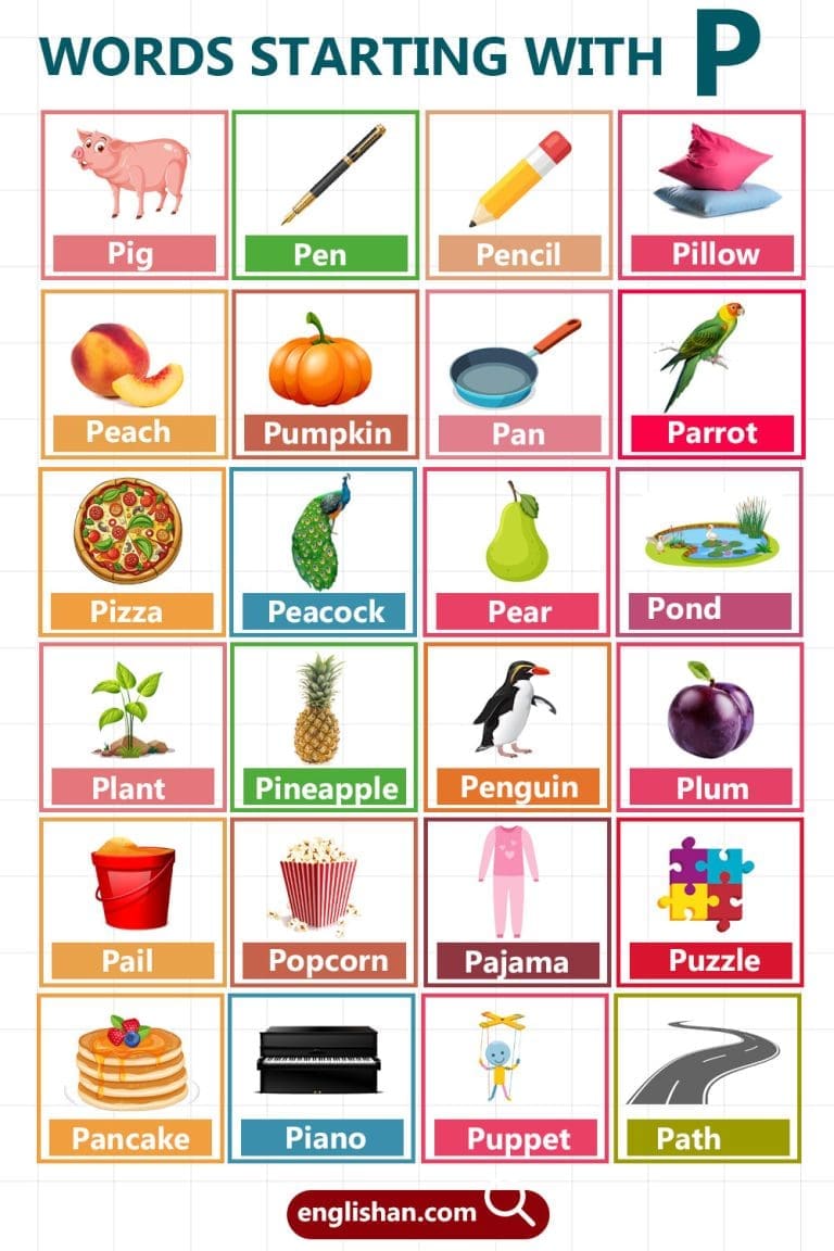Words that Start with P: Easy Vocabulary for Kids