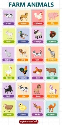 Farm Animals for Kids: Easy Vocabulary for Little Learners • Englishan