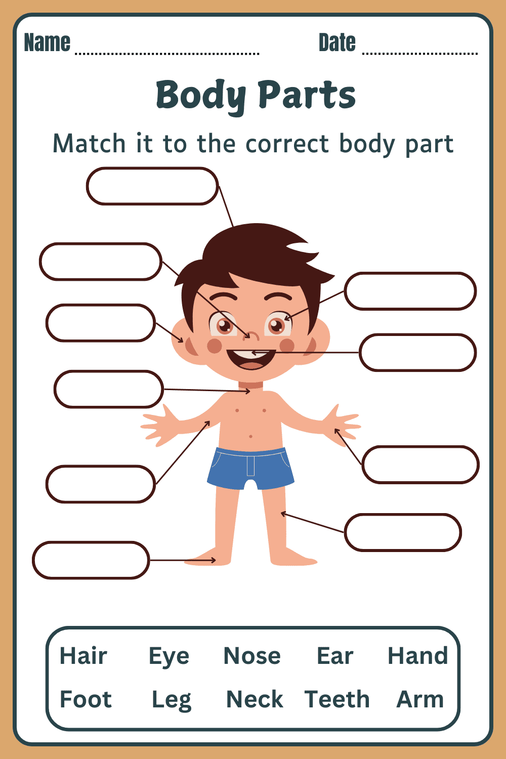 Human Body Parts Matching Worksheets Worksheets Samples