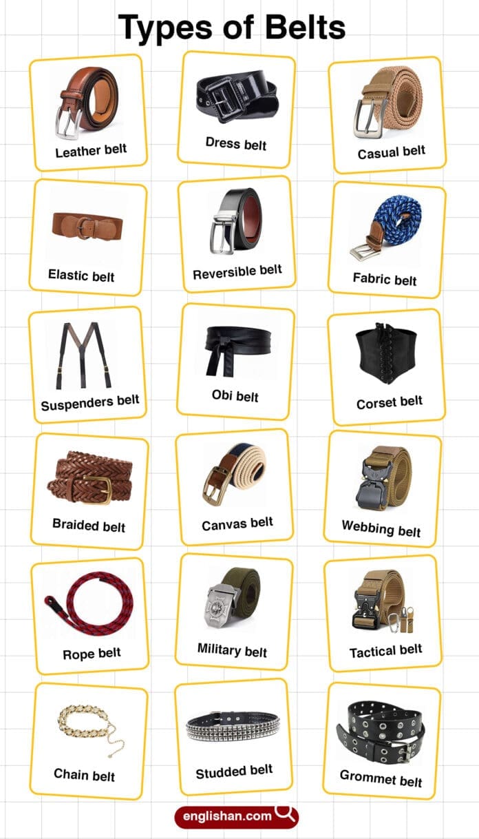 Types of Belts – Learn Different Belt Styles with Pictures