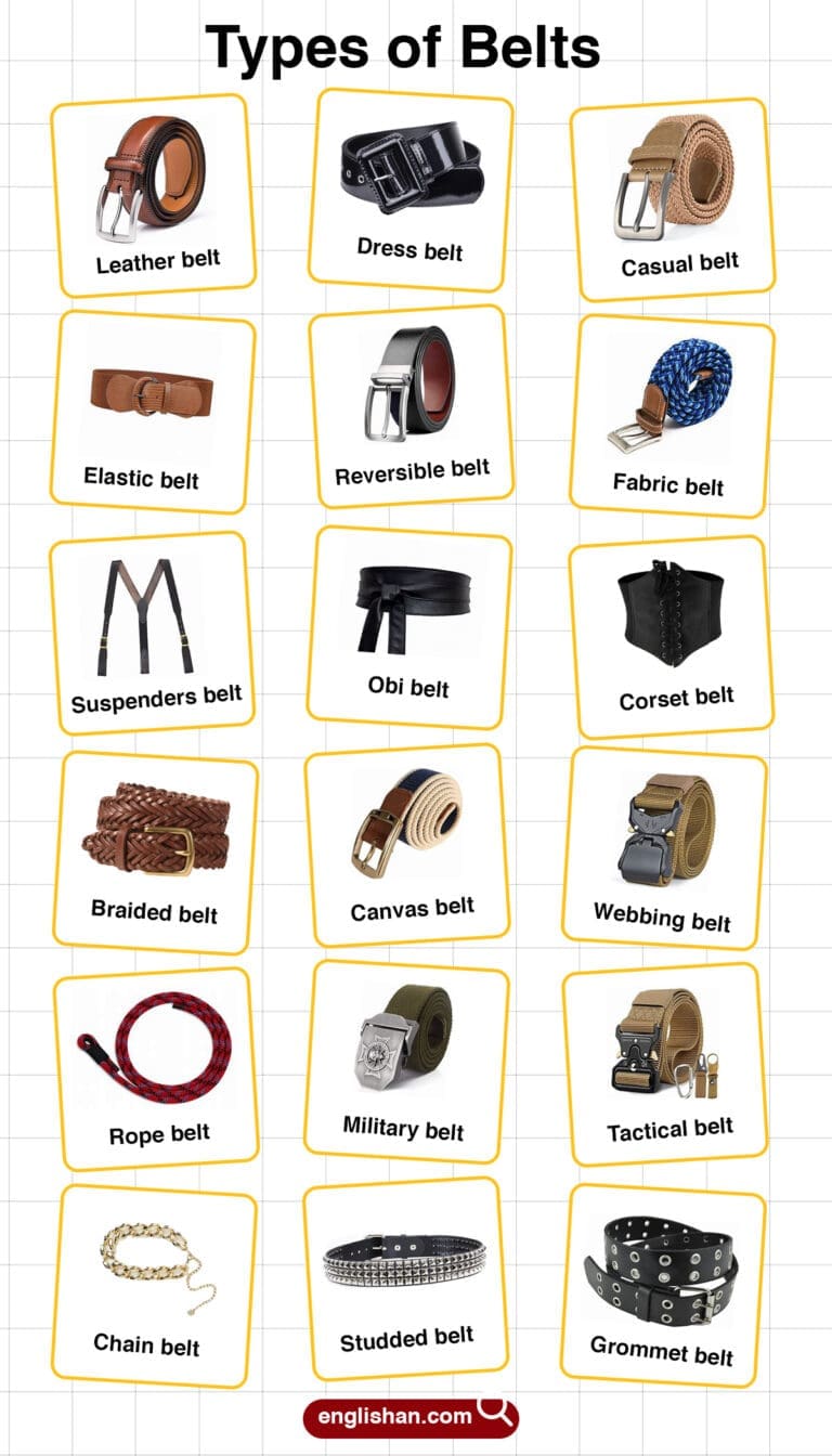 Types of Belts – Learn Different Belt Styles with Pictures