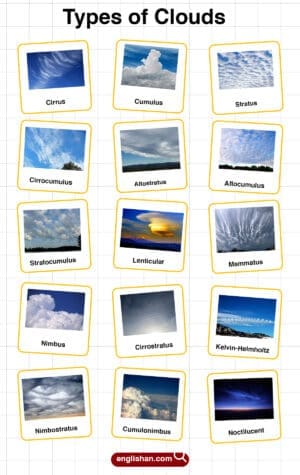 Types of Clouds and Their Meanings in Weather Patterns