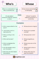 Who's vs Whose • Learn the Difference with Examples
