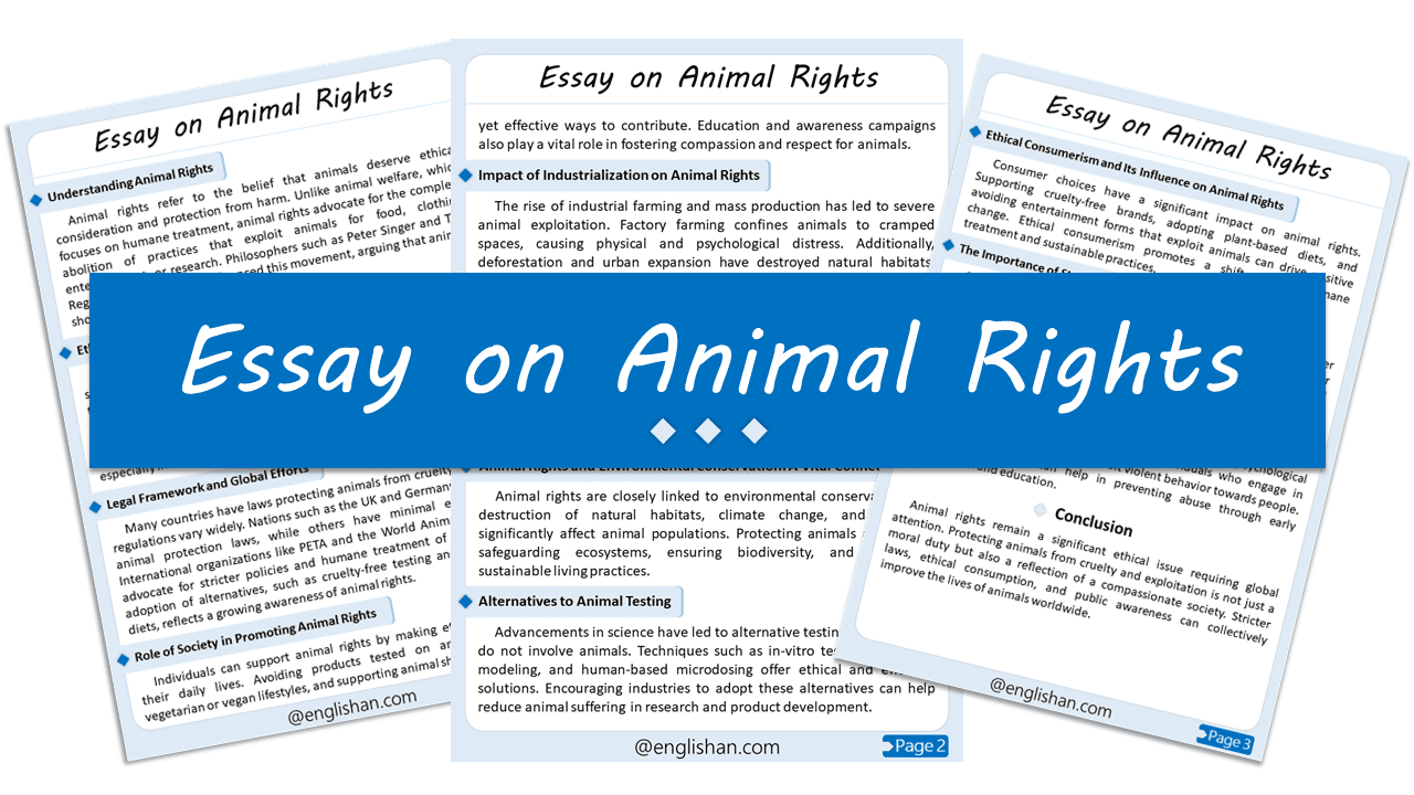 Animal Rights Essay – 10 Lines, 250 Words, and 500 Words