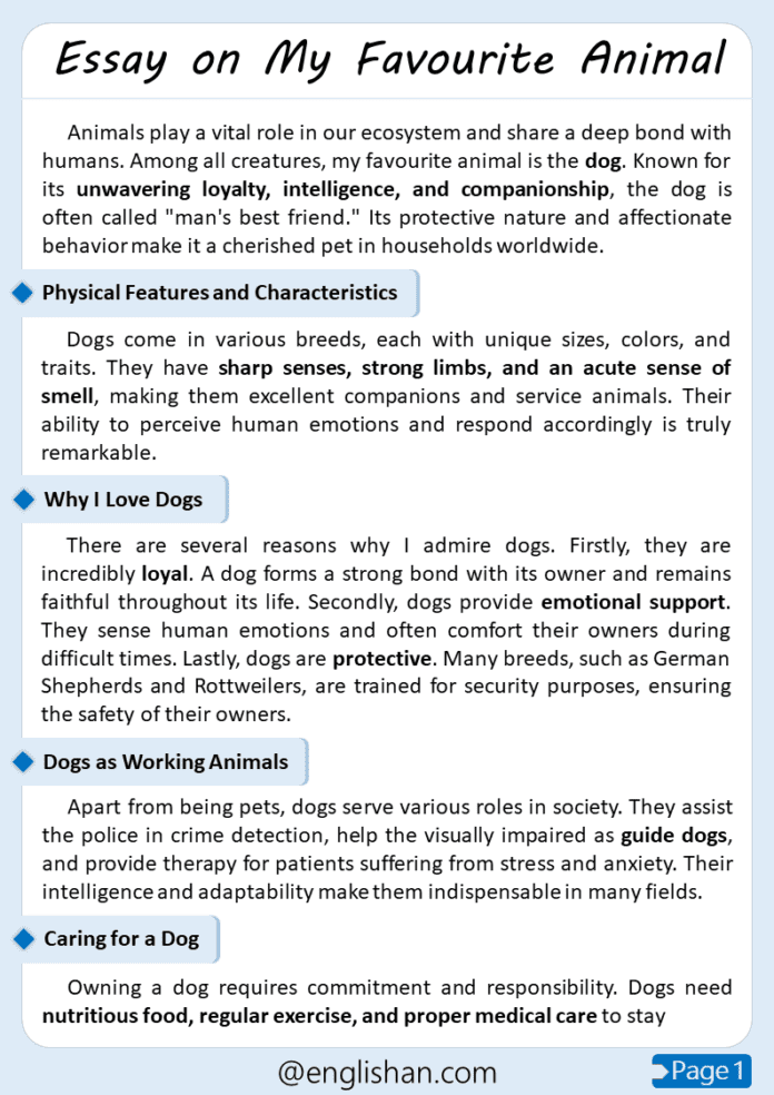 My Favourite Animal Essay – 10 Lines, 250 Words, and 500 Words