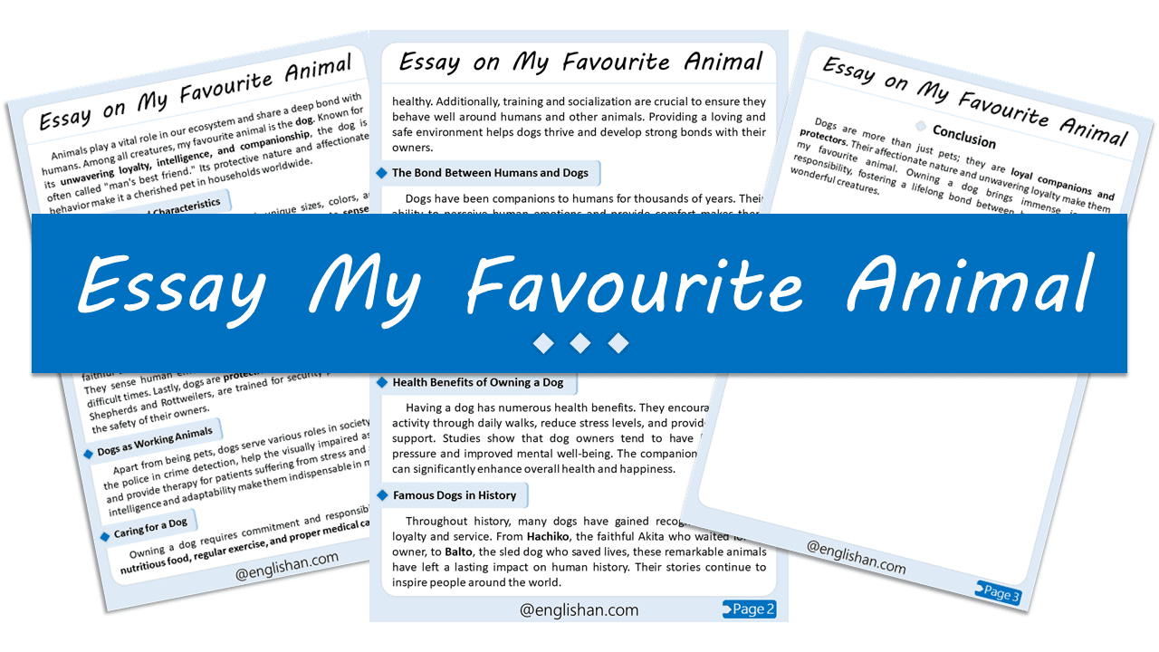 My Favourite Animal Essay – 10 Lines, 250 Words, and 500 Words