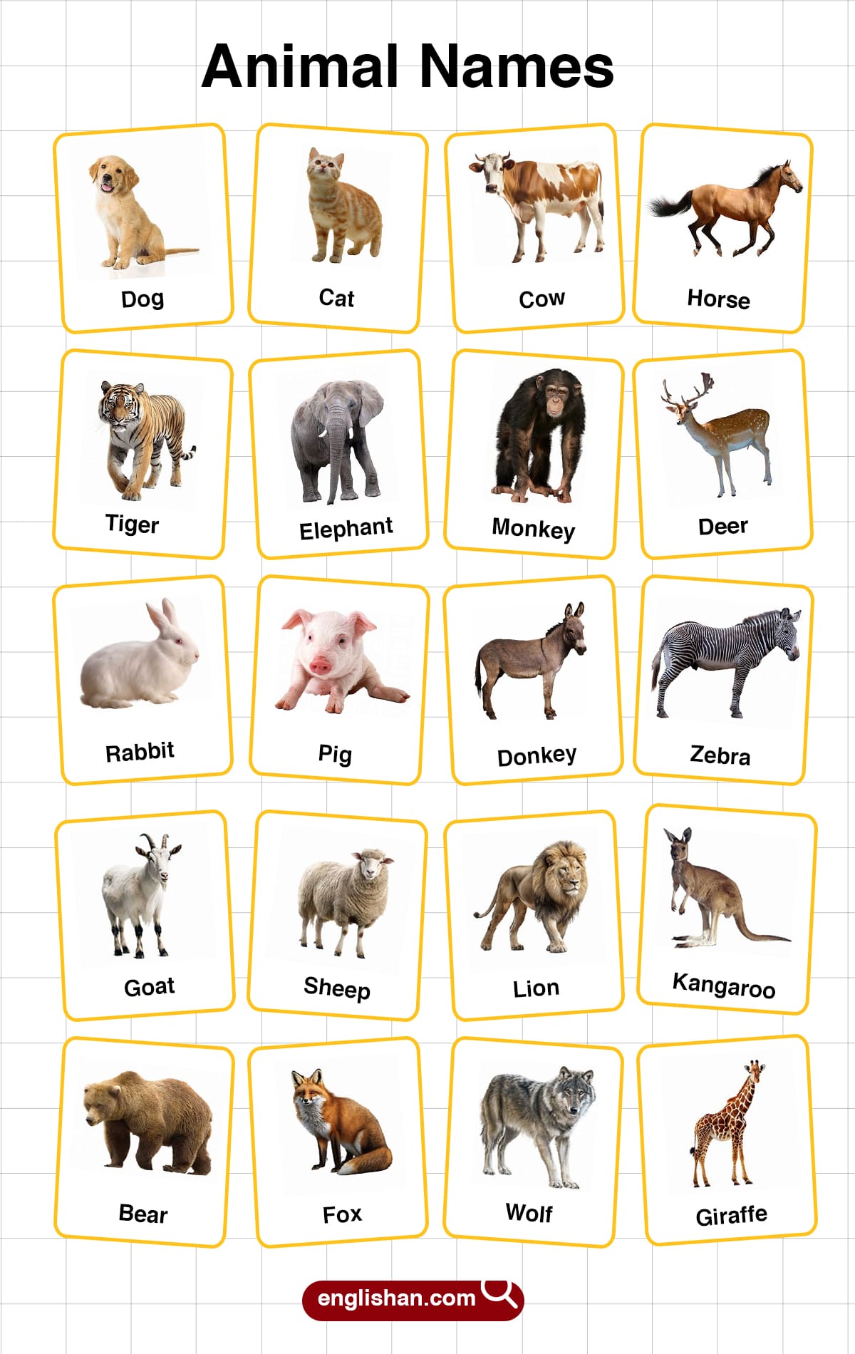 All Animals Names in English with Their Pictures