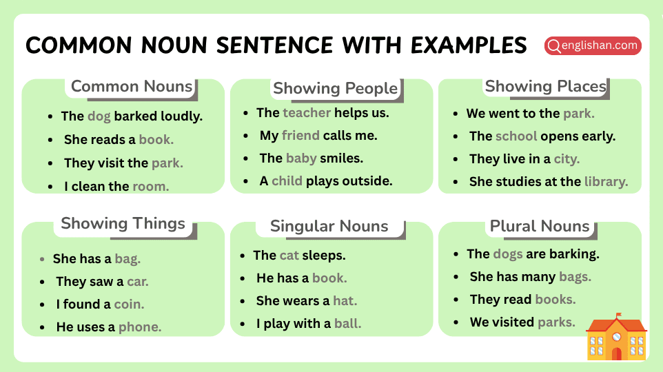 100 Common Noun Examples In Sentences For Learners