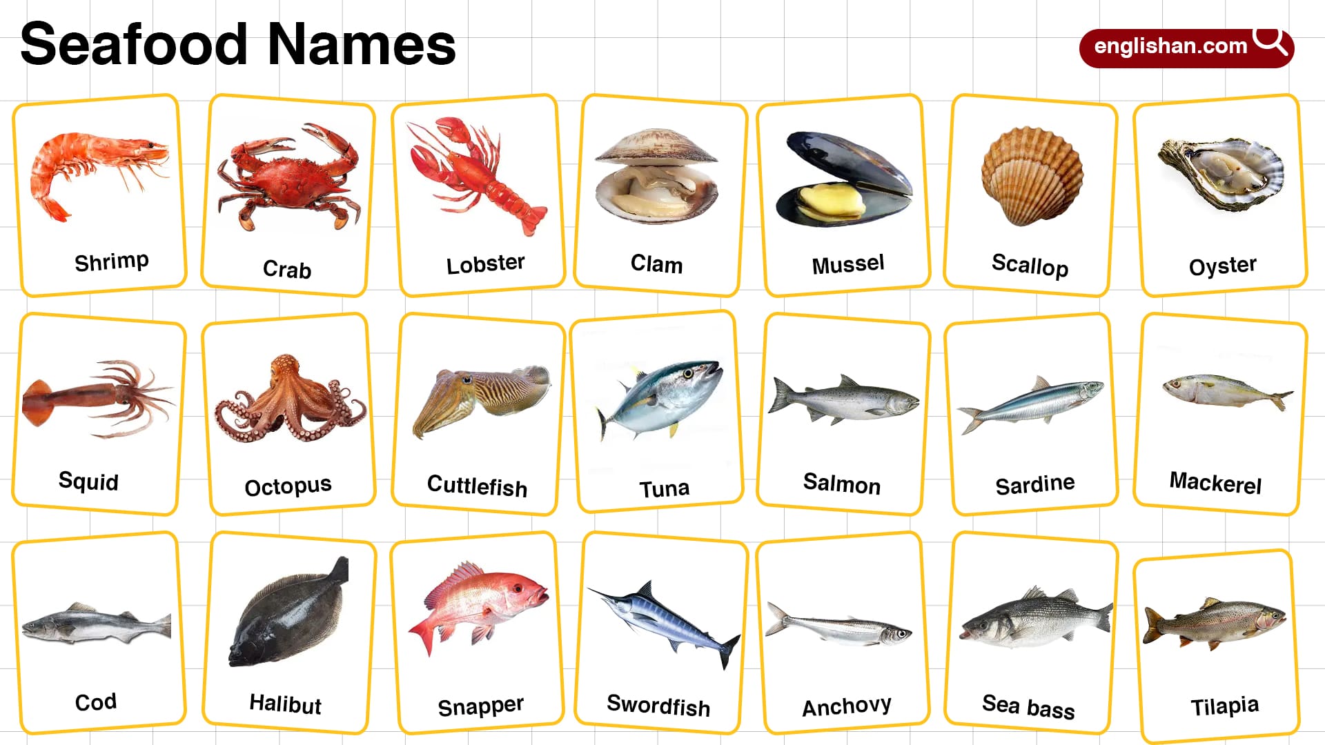 Seafood Names in English with their Pictures