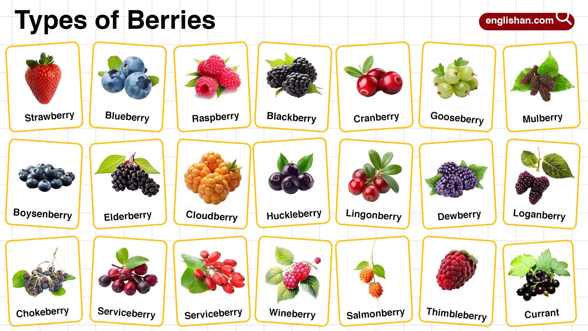 Types of Berries in English with their Pictures
