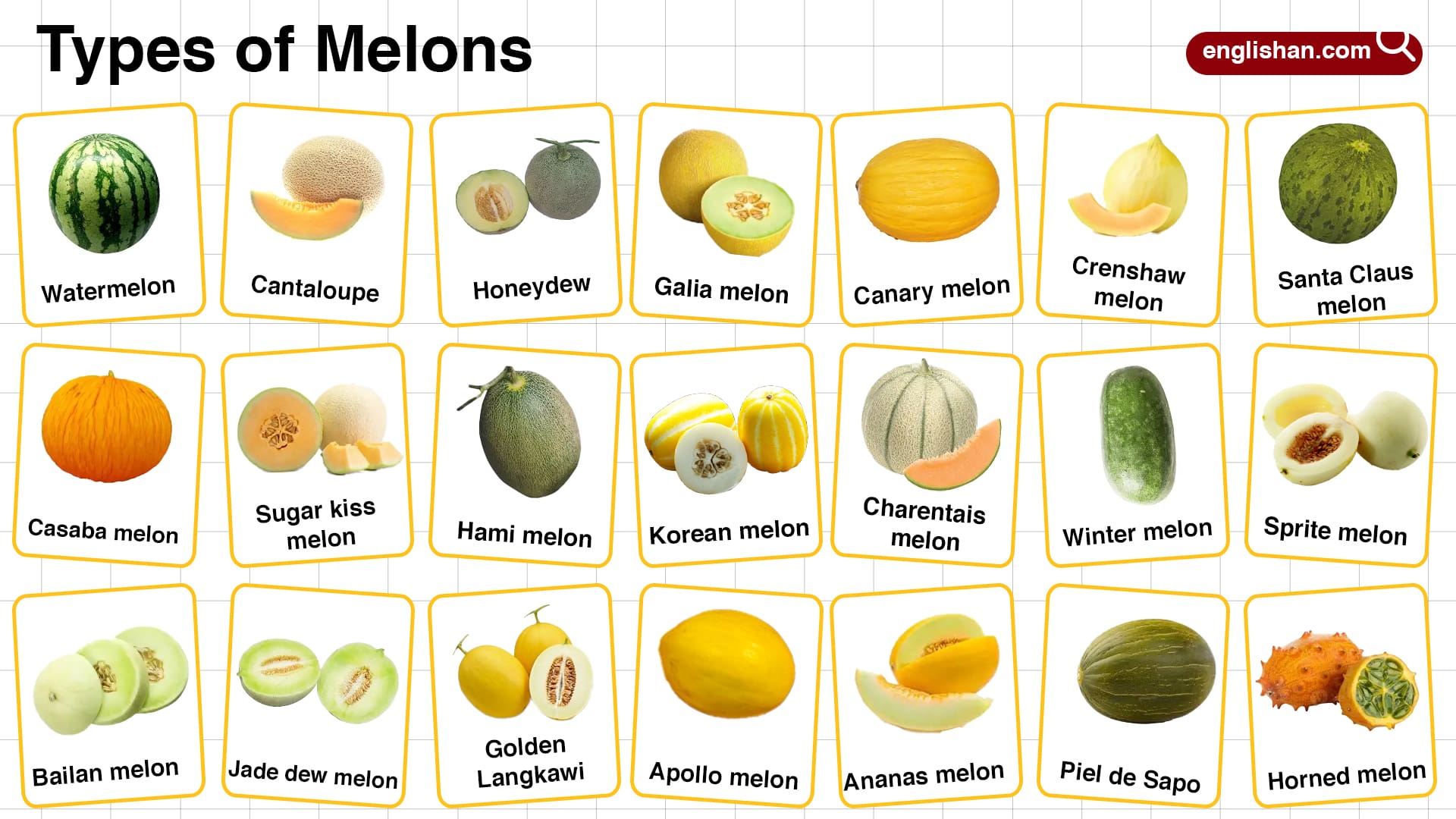 Types of Melons in English with their Pictures