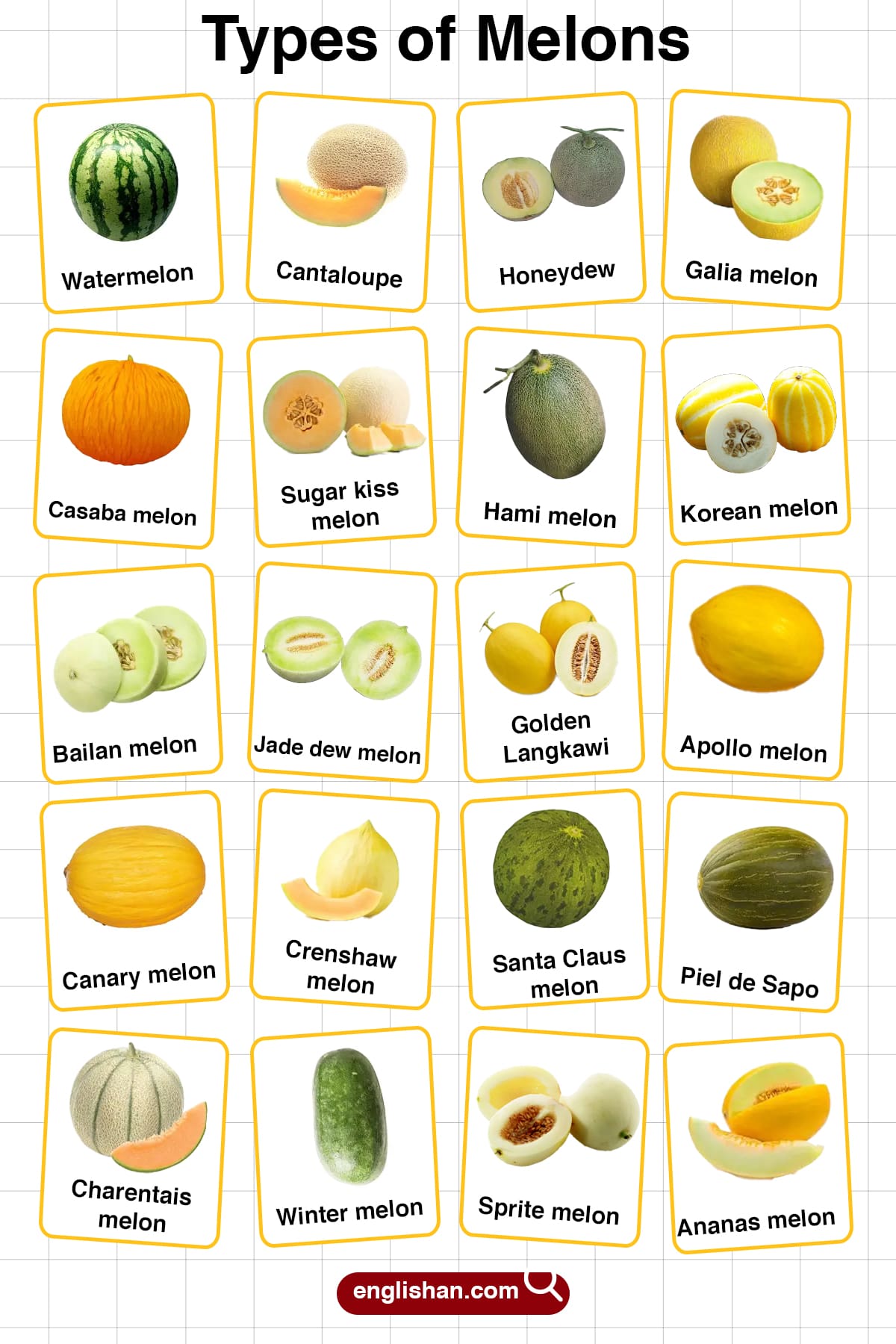 Types of Melons With Pictures and Flavor