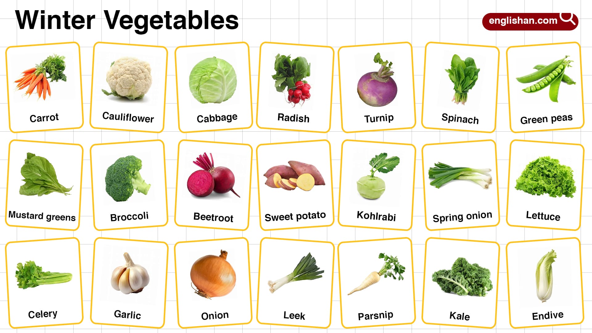 Winter Vegetables Names in English with their Pictures