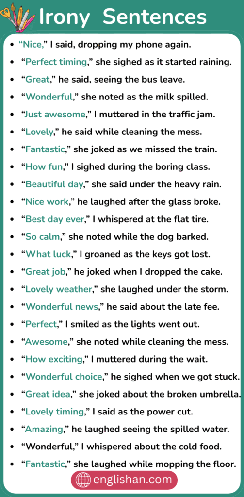100 Useful Irony Examples In Sentences List
