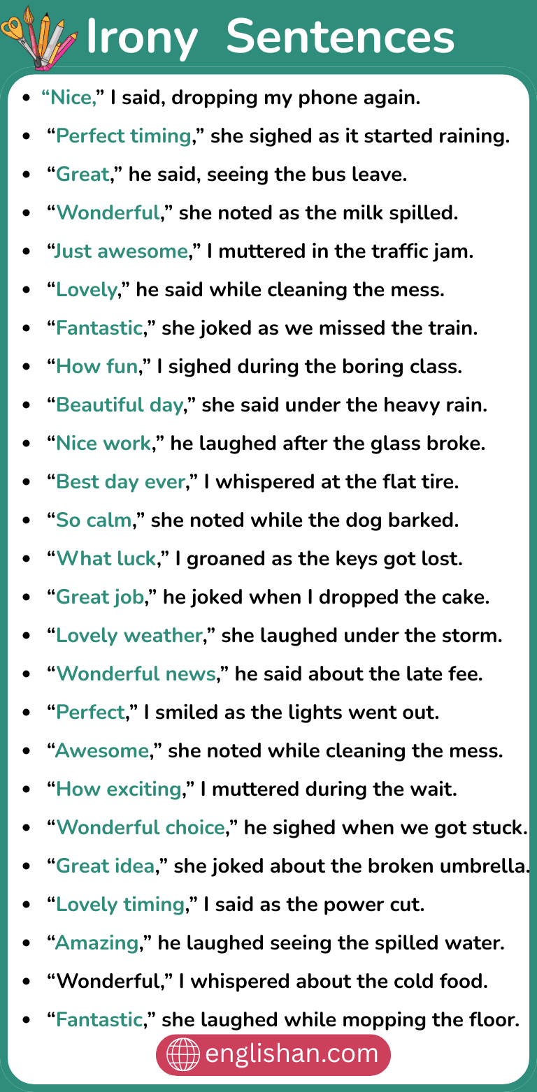 100 Useful Irony Examples In Sentences List
