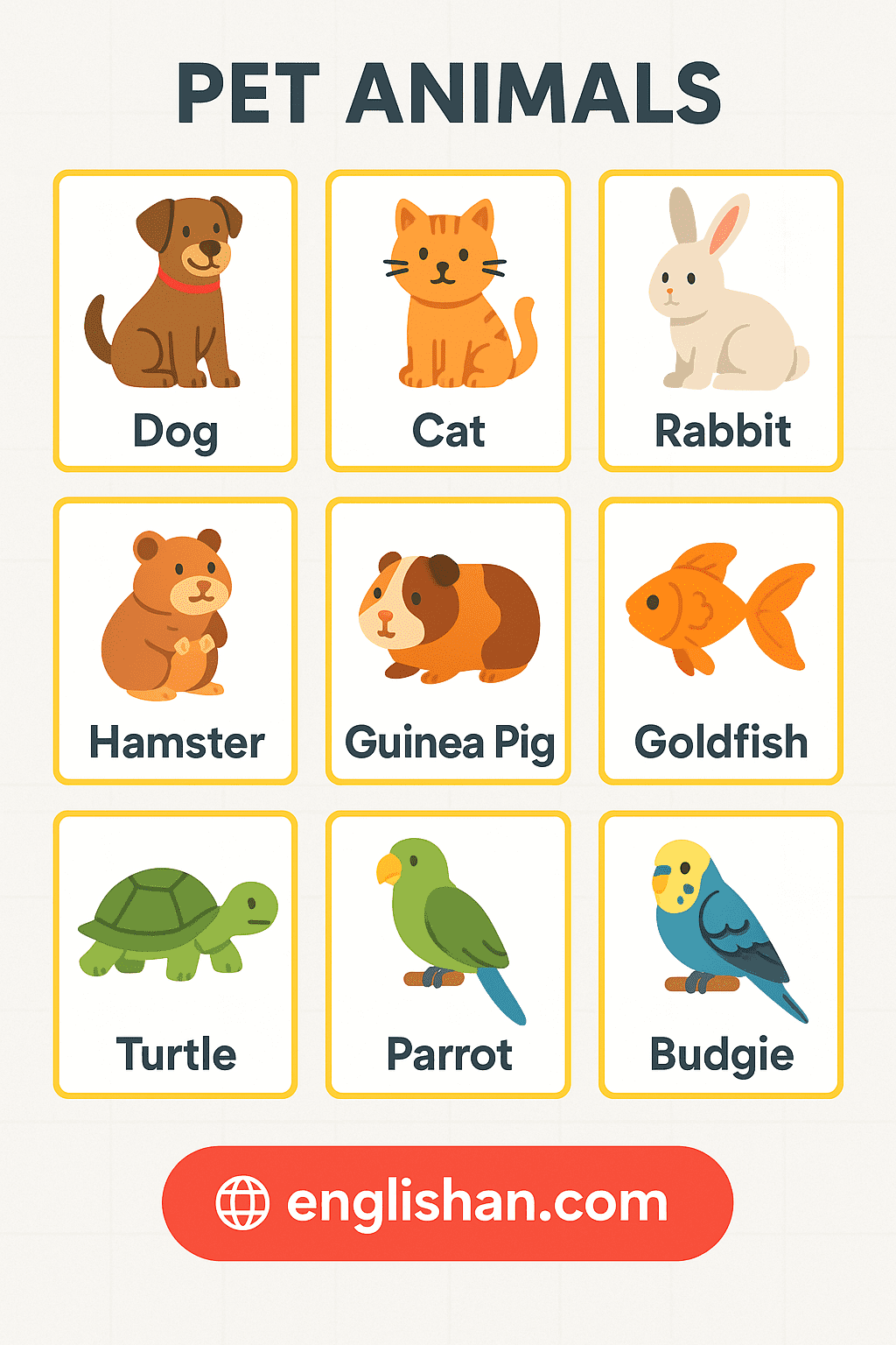All Animals Names in English with Their Pictures