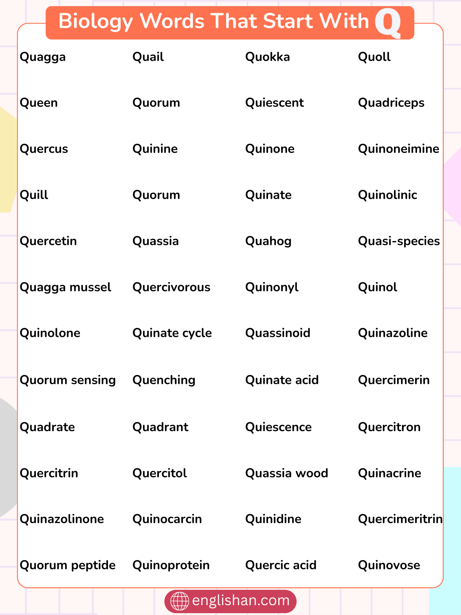Biology Words That Start With Q 110 Words for Learners