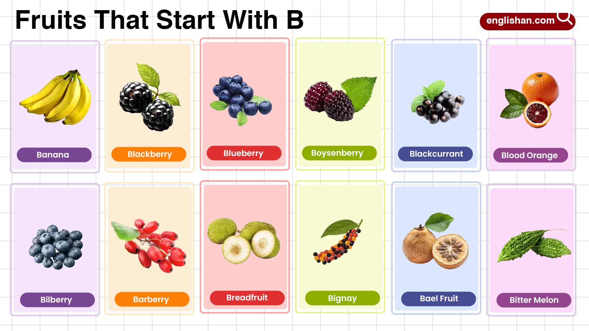 50 Fruits That Start With B ( Facts and Pictures )