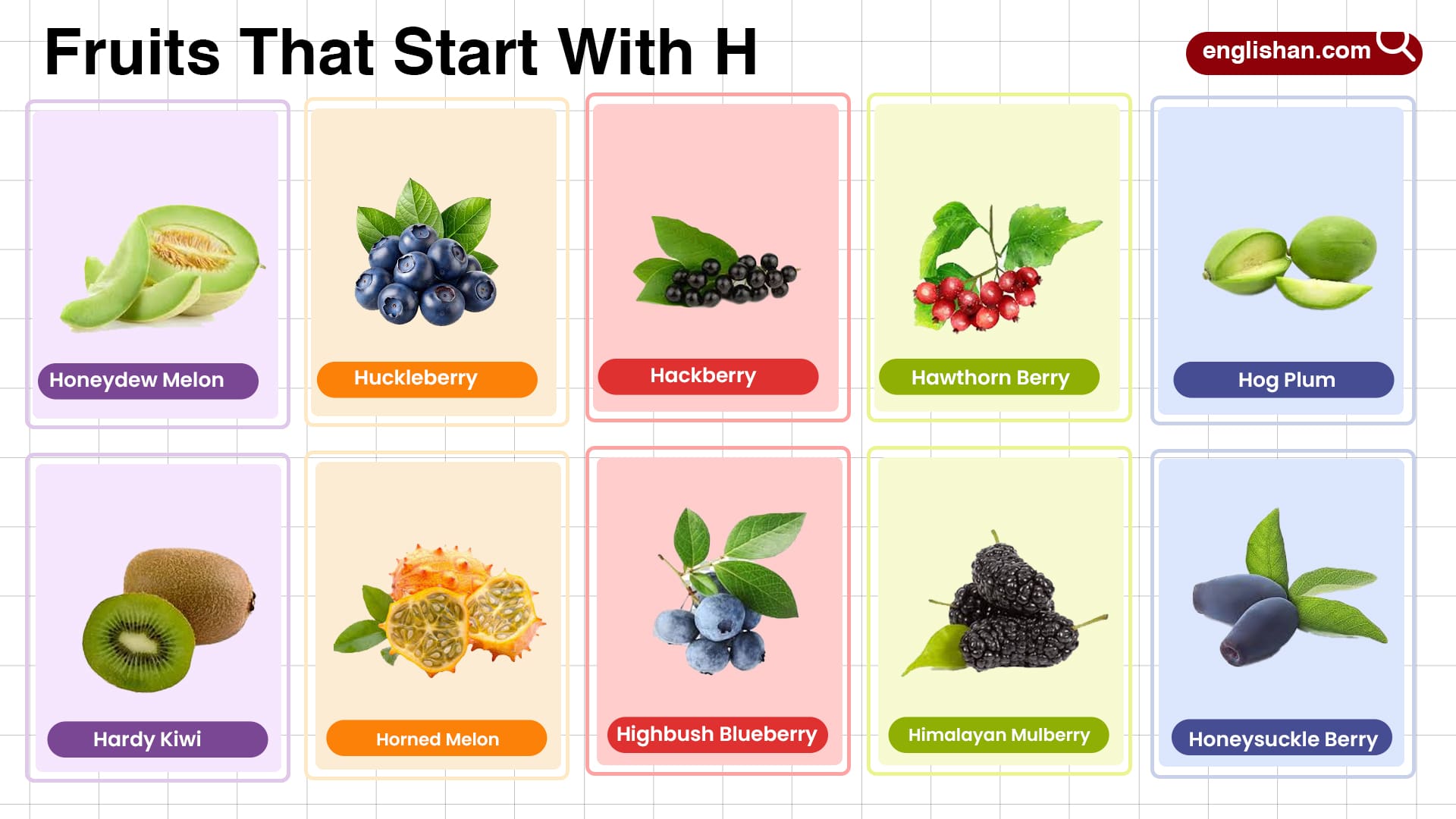30+ Fruits That Start With H | Vocabulary List