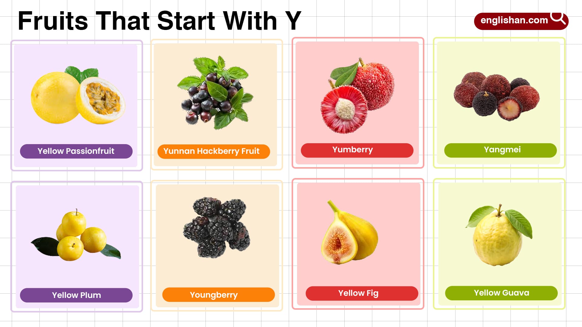 15 Fruits That Start With Y in English
