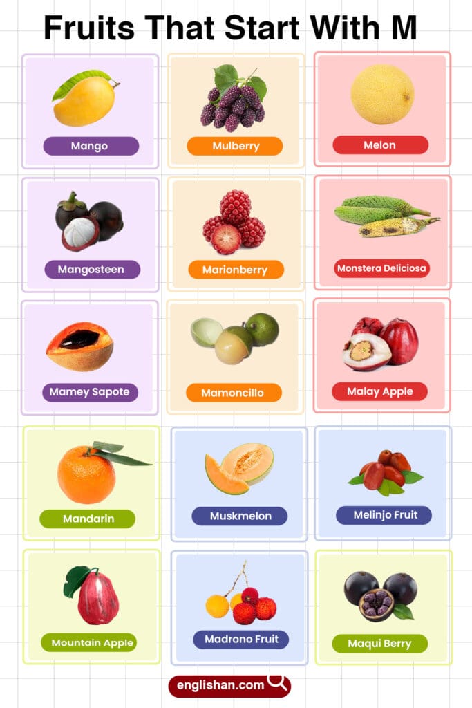 112 Fruits That Start With M ( Facts and Pictures )