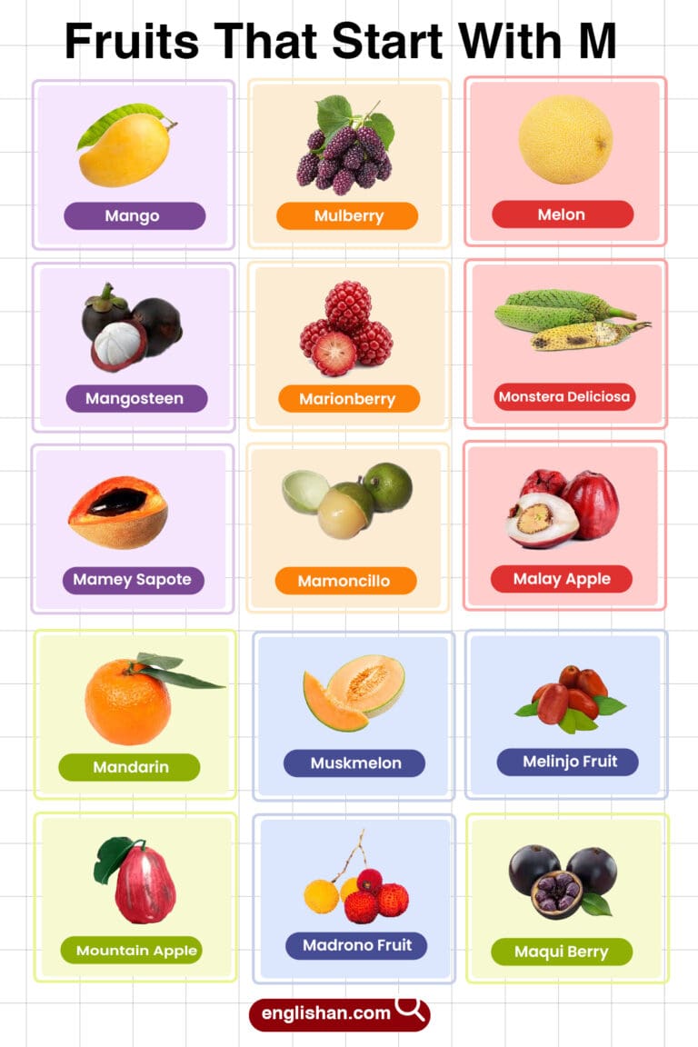 112 Fruits That Start With M ( Facts and Pictures )