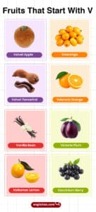 125 Fruits That Start With V Complete List