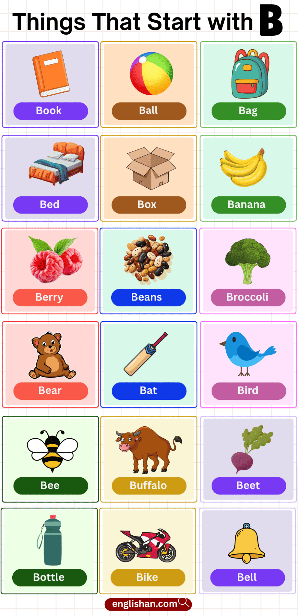 500 Things Starting with B – Complete Words List
