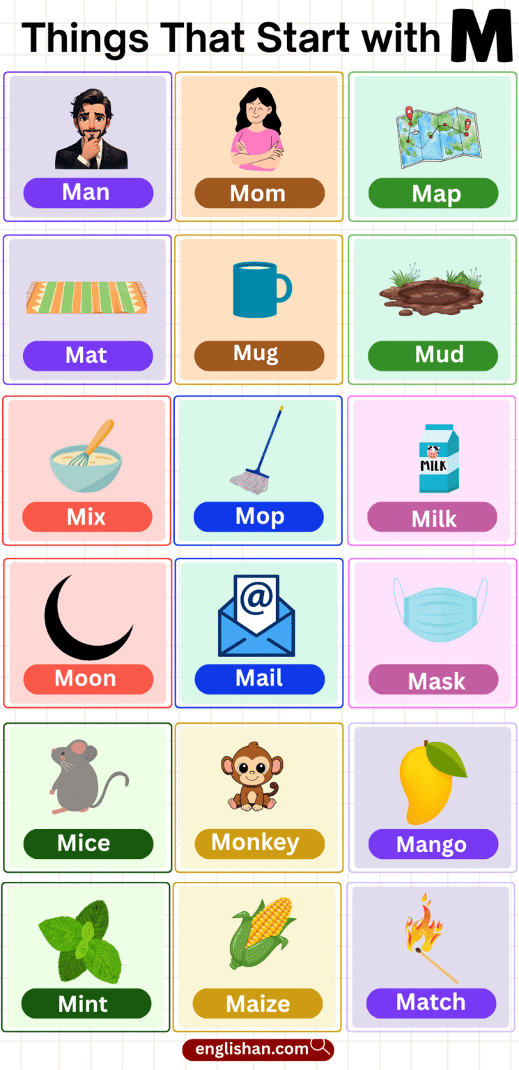 310 Things That Start with M – List of Words with Pictures