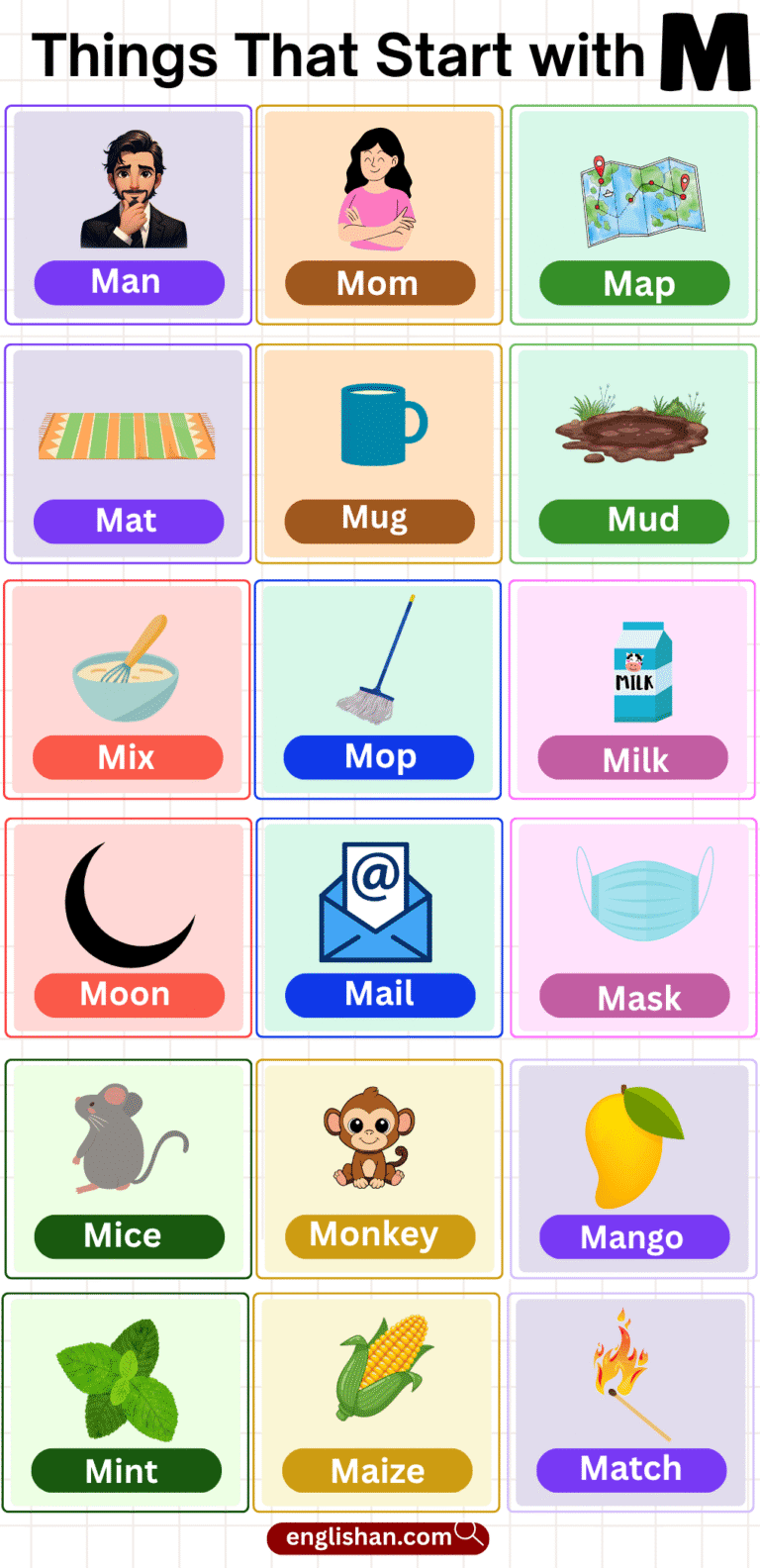 310 Things That Start with M – List of Words with Pictures