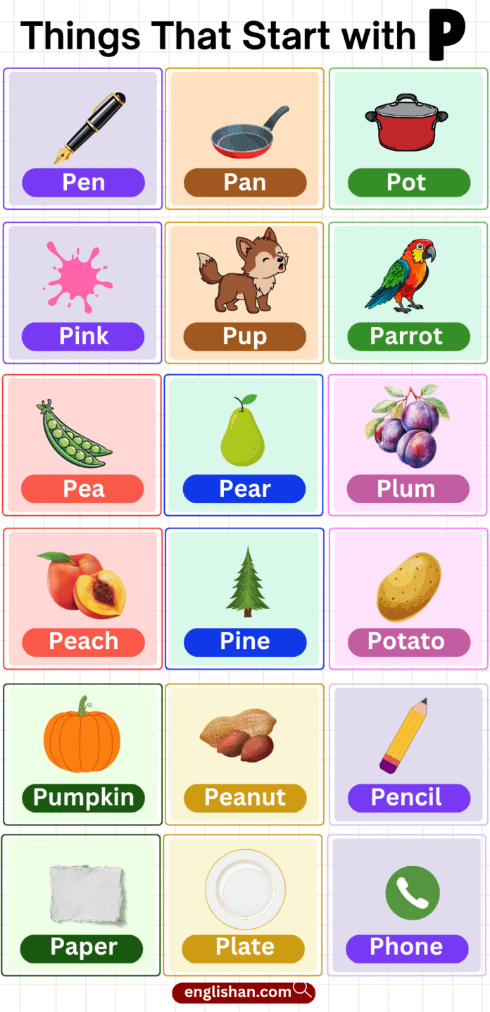 680 Things That Start with P – List of Objects/Words with Pictures