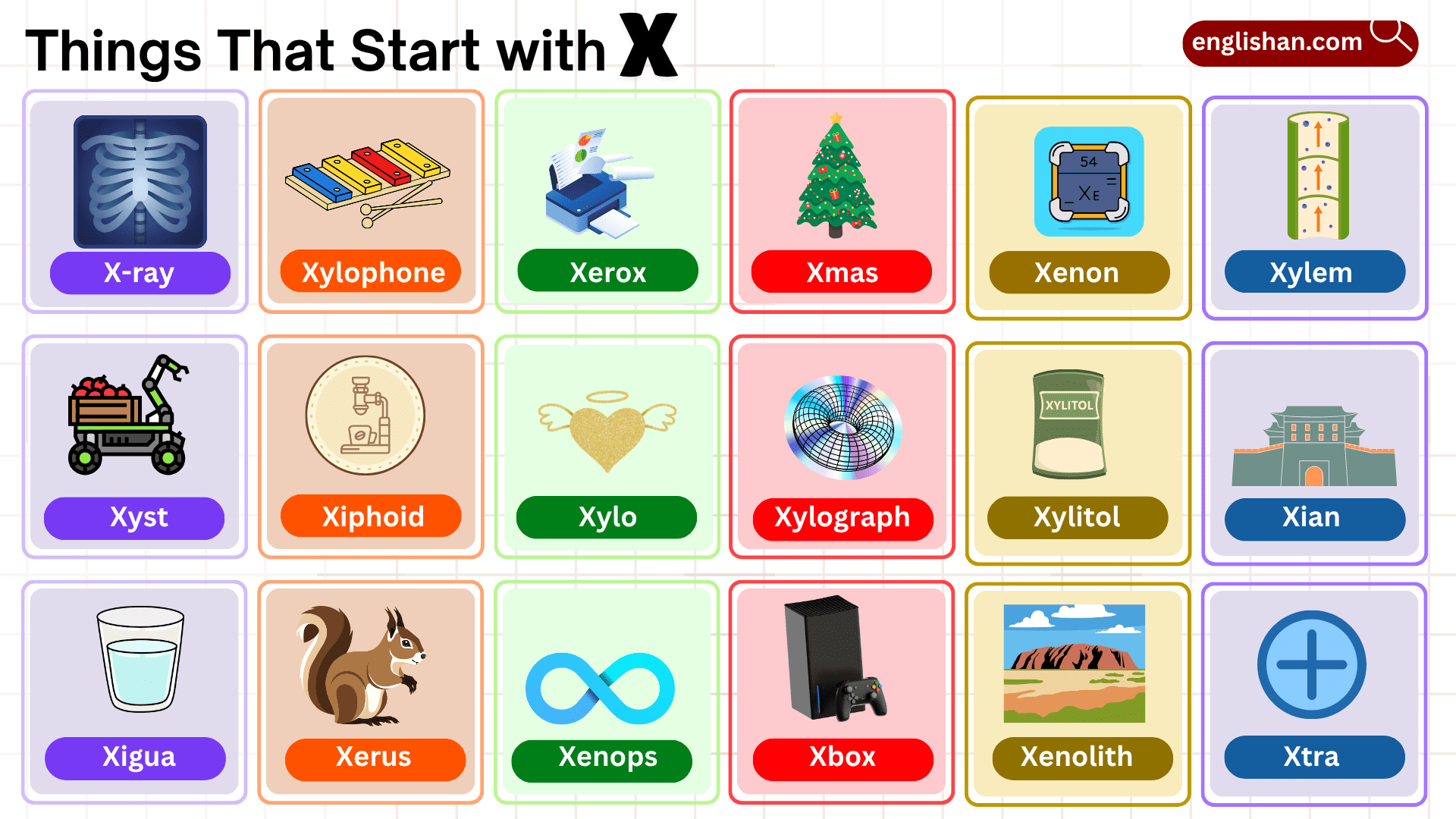 29 Things That Start with X – Foods, Objects, and Science List