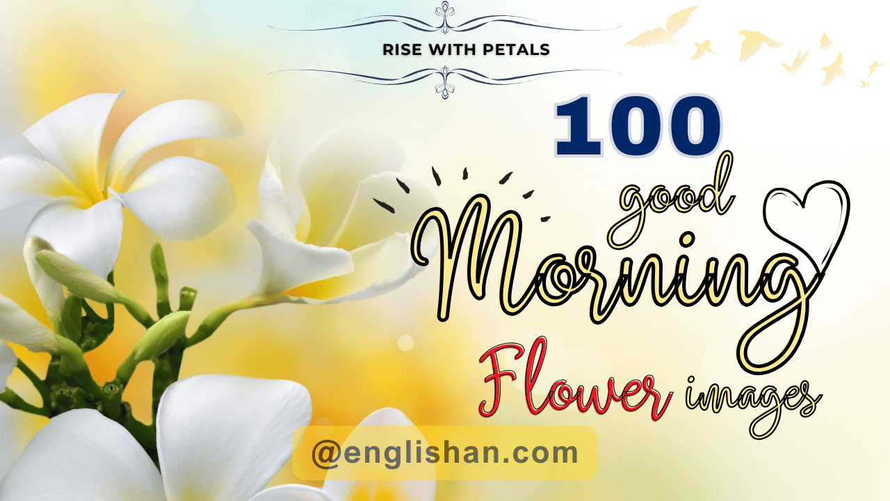 500+ Heartfelt Good Morning Flower Wishes with Images 2025