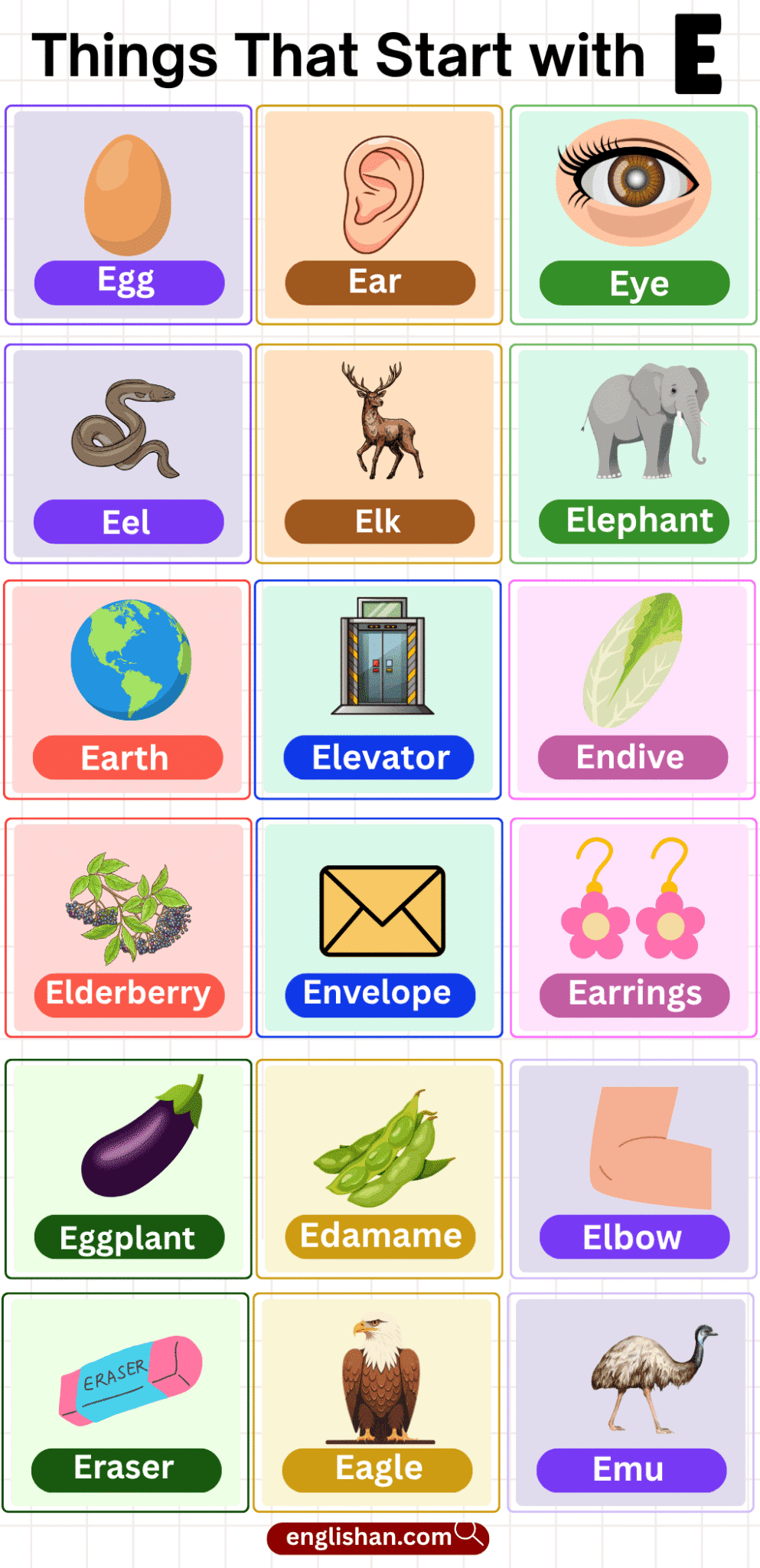 300 Things That Start with E – Foods, Animals, Objects List