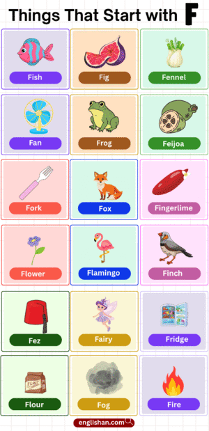 600 Things That Start with F – List of Foods and Animals