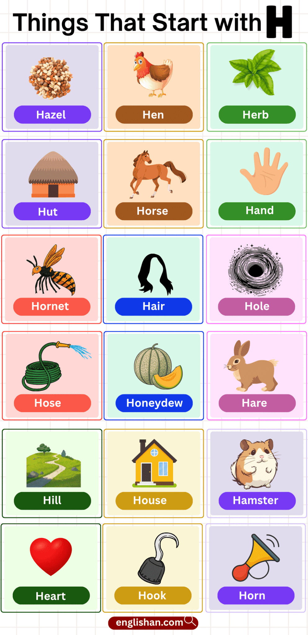 540 Things That Start with H – Foods, Animals, Objects