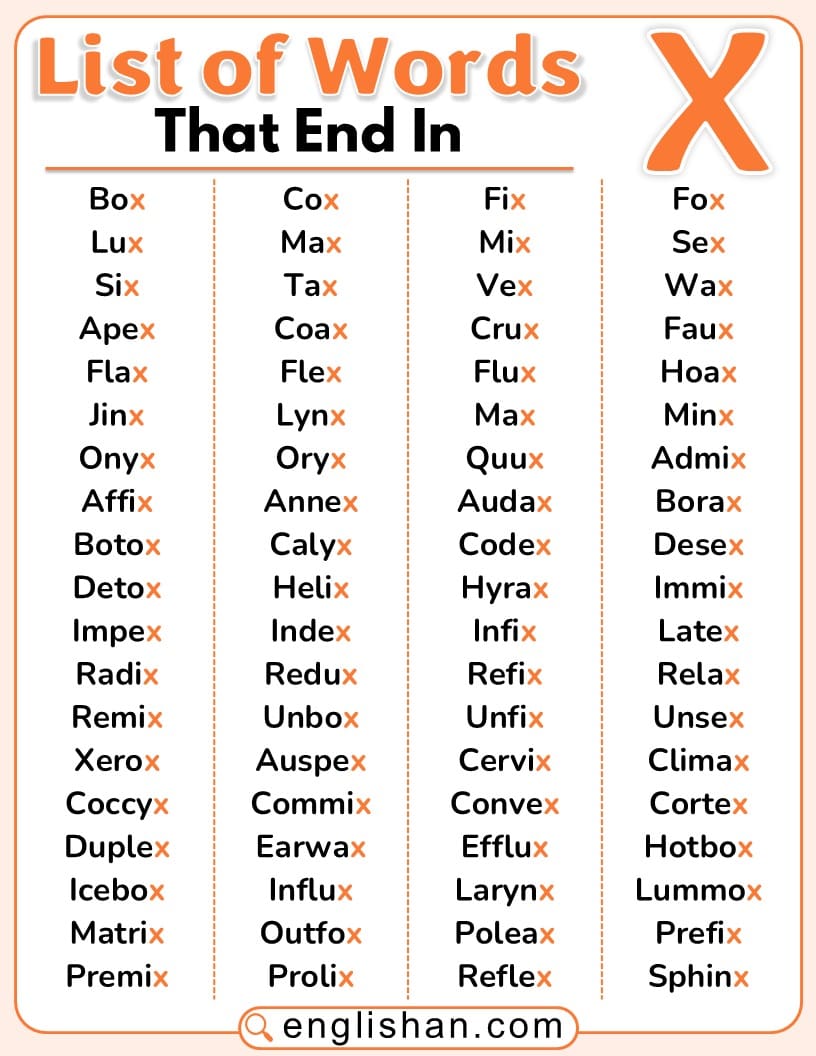 Words That End in X – Essential List for Learners