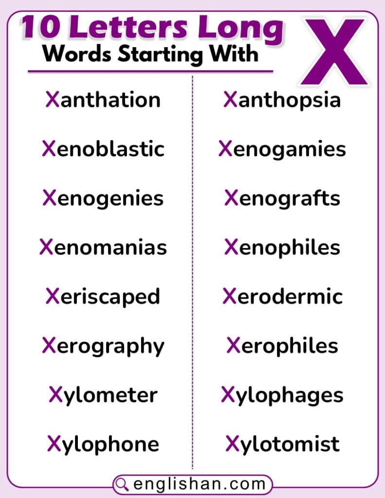 Long Words That Start With X: Rare Vocabulary List