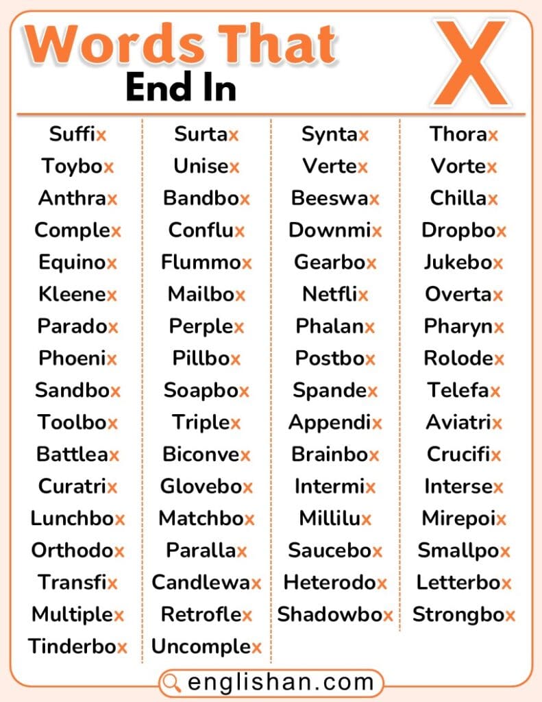 Words That End in X – Essential List for Learners