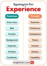 Synonyms for Experience: 100+ Useful Words With Examples