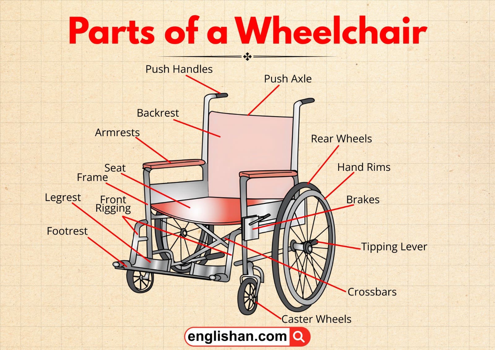 Parts Of Wheelchair: Labeled Diagram For Easy Recall