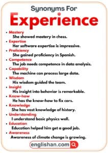 Synonyms for Experience: 100+ Useful Words With Examples